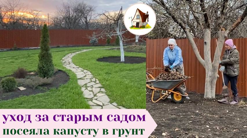 Уборка в саду. Посеяла капусту.