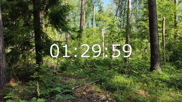 ⏰ТАЙМЕР 3 часа | Обратный отсчет времени