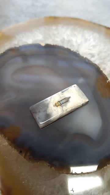 lv_0_20250331113326(0).mp4