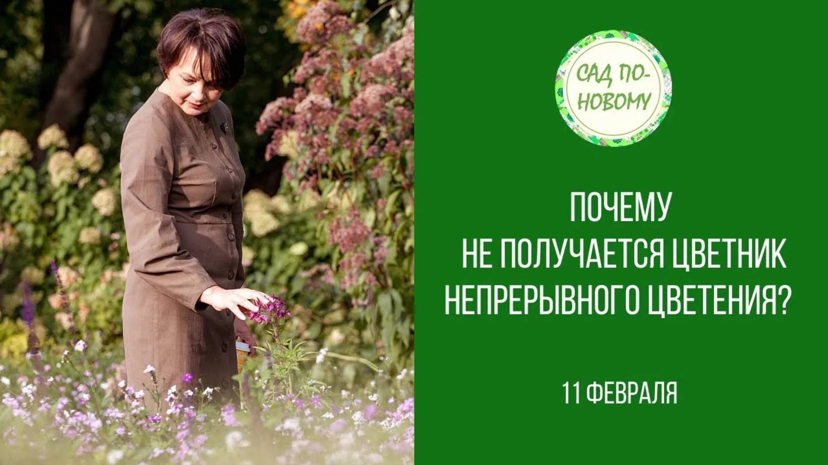 Почему не получается цветник непрерывного цветения?