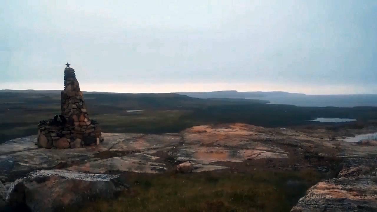 Здесь птицы не поют