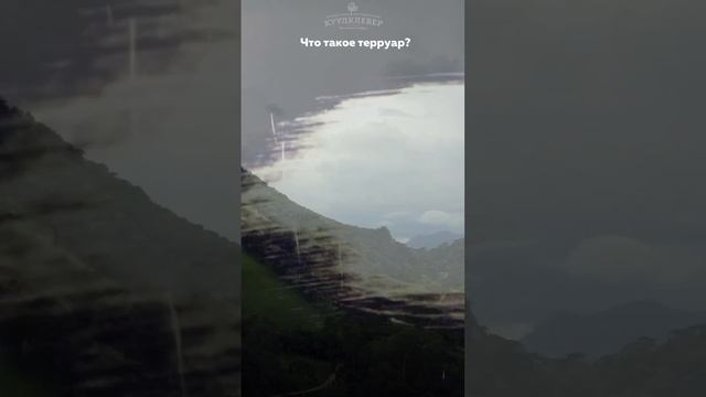 Путеводитель по Коллекциям СОМЕЛЬЕ. Что определяет вкус вина? Понятие "Терруар"