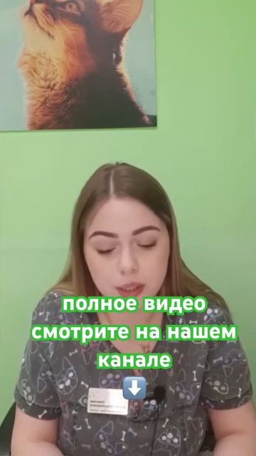 Острая почечная недостаточность у собак и кошек