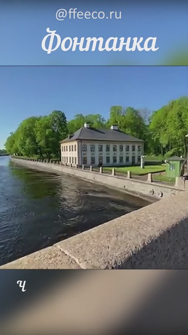Фонтанка - песня @fakeer.ru #заказать_песню  #заказать_мультик #музыка #мультики_на_заказ