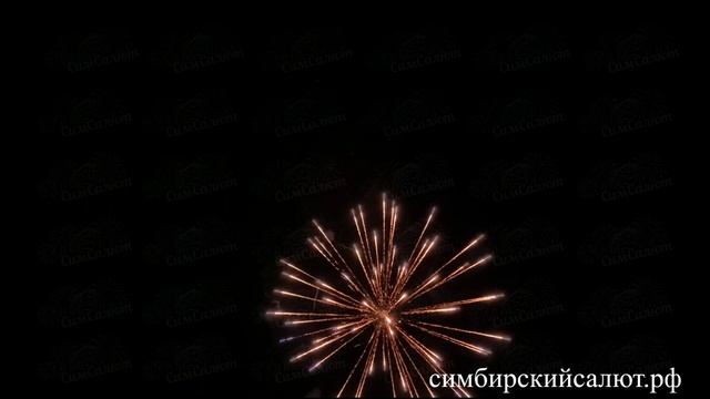 Профессиональный салют (№2346) (37,8)