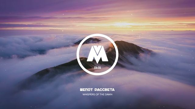 Эмбиент бит без  АП и ЛО