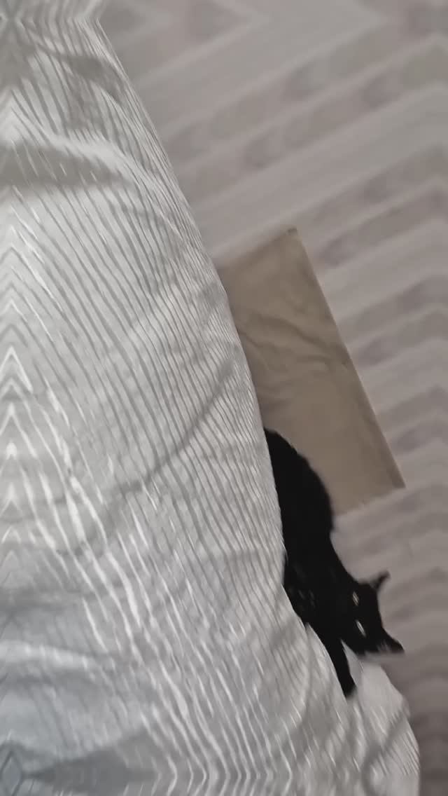 Тихий час.
Аксинья и Софи Гаинцевы.