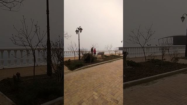 Обстановка в Новом Свете 30.03.2025. Крым.