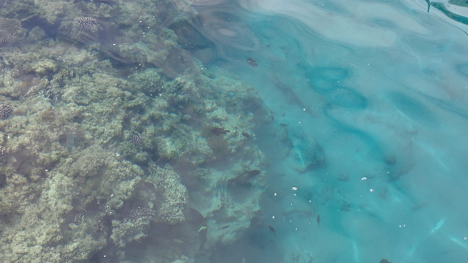 нас переселили в другой номер обзор на него