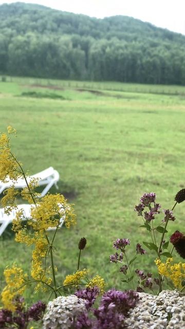 Алтай Басаргино Маралы