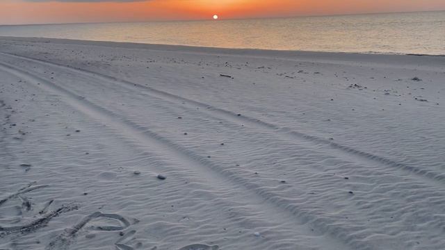 приезжайте в Куршале