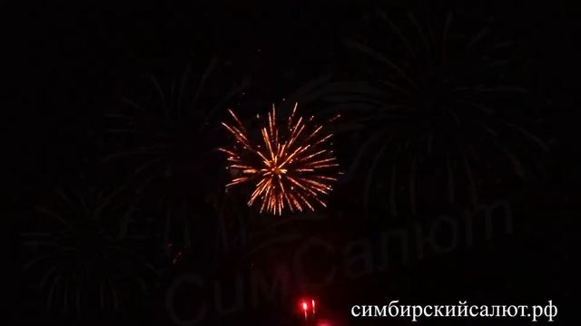 Профессиональный салют (№1436) (44)