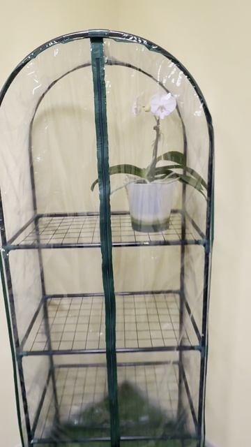 Парник напольный 160 зелен арка