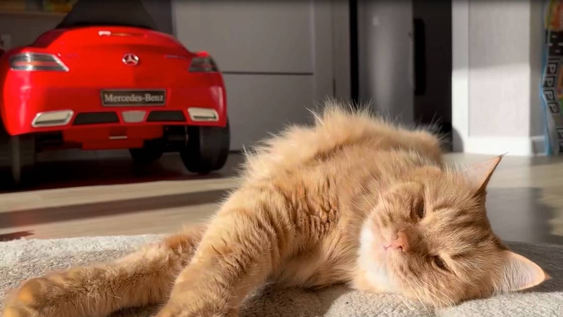 Жизнь в ЖК "Тайгинский парк"!