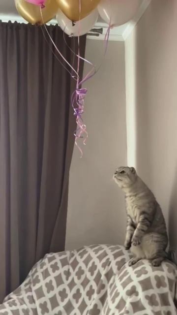 Операция «Ы»😺