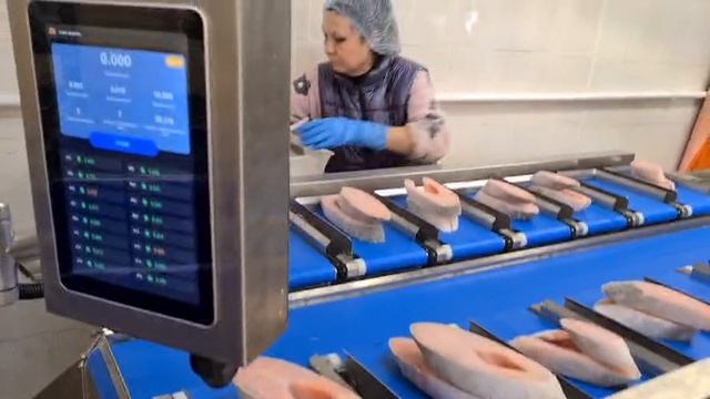 Линейный весовой дозатор для группирования пищевых продуктов: рыба, мясо, овощи и фрукты.