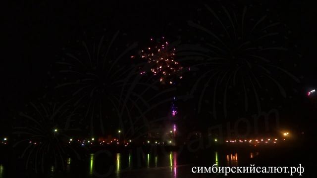 Профессиональный салют (№1370) (31)