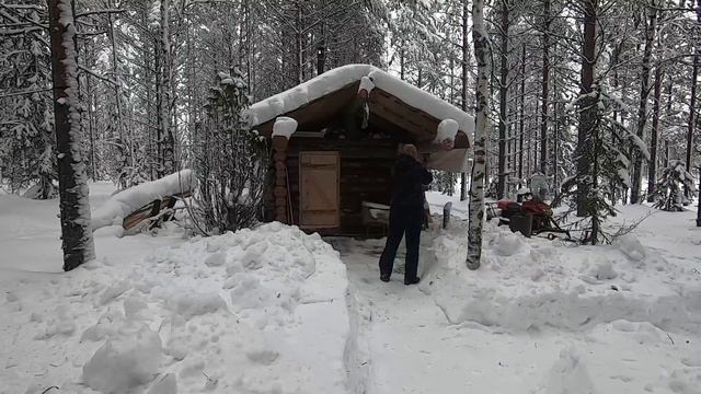 Сравнение популярных манков на гуся. MANIA, Schoolhunter, Grafov Calls, Golden Roar. КОНКУРС!!!