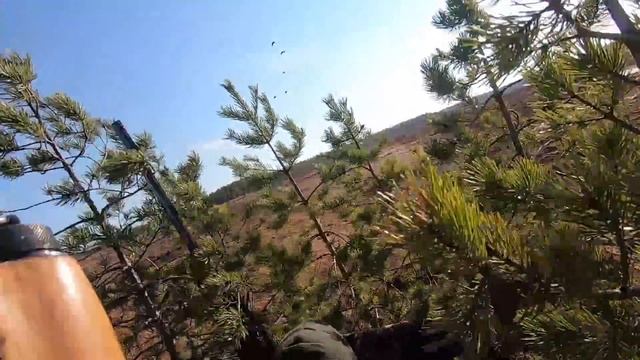 ОХОТА НА ГУСЯ 2021 ОСЕНЬ. КАРЕЛИЯ. ТОЛЬКО НАЛЁТЫ И РАБОТА НА МАНКЕ. #охотанагуся2021