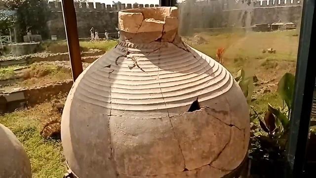 Путешествие в Грузию. Гонио 08.2022. День 10