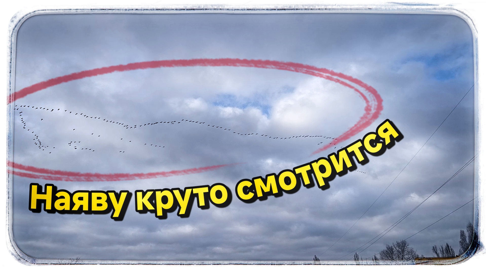 Красота в глазах смотрящего! Посмотрите как птицы летят!