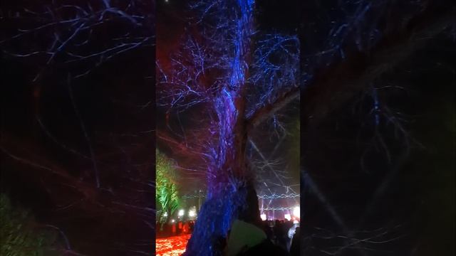 2 февраля 2023 года