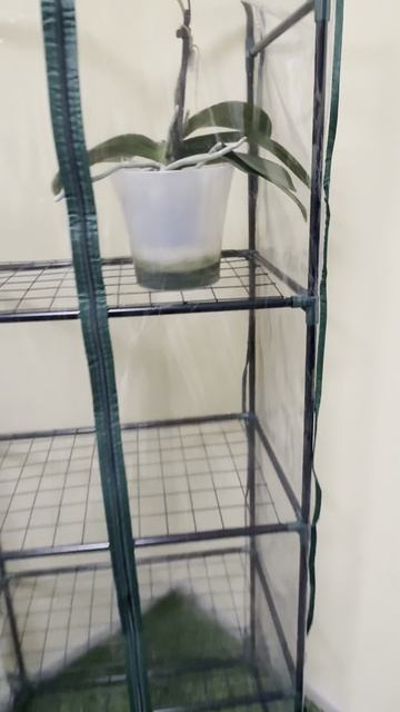 Парник напольный 160 см зеленый