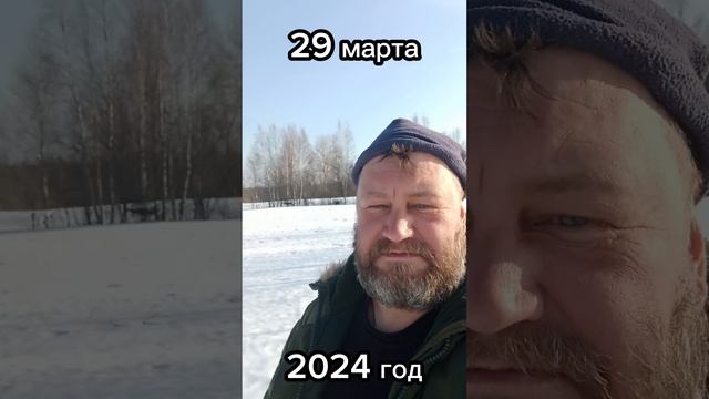 Глобальное потепление за год в Ярославле #глобальноепотепление #климат #экология #потепление #клима