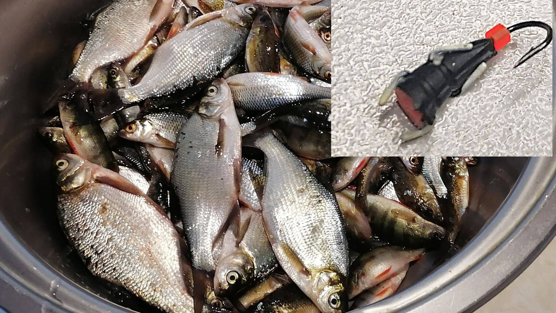 Тест. Новая мормышка на реальной рыбалке.