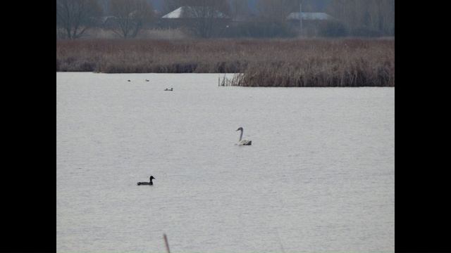 Безмятежное путешествие(слайд шоу)