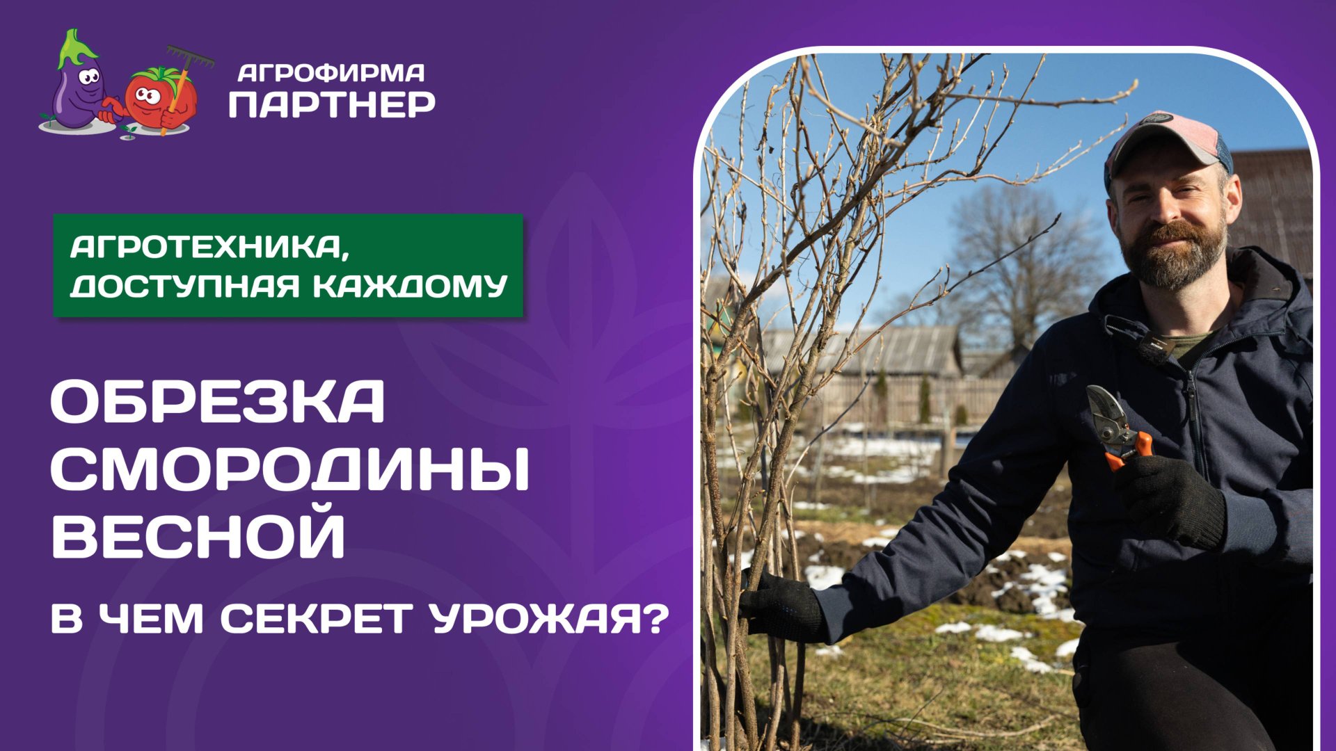 ВЕСЕННЯЯ ОБРЕЗКА ЯГОДНЫХ КУСТАРНИКОВ // Как получить богатый урожай смородины?