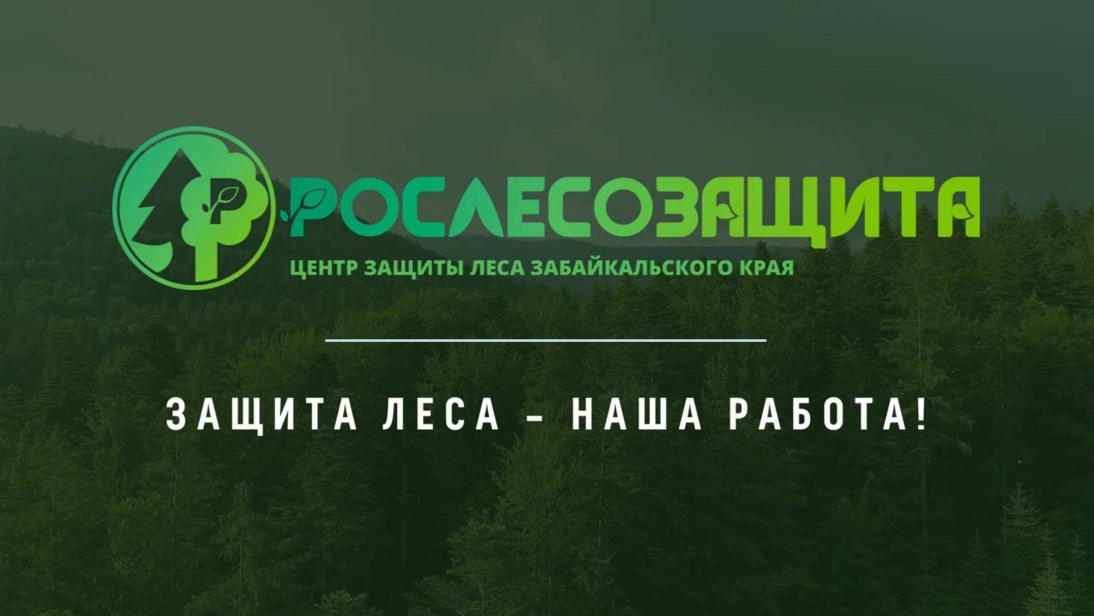 Защита леса - наша работа!