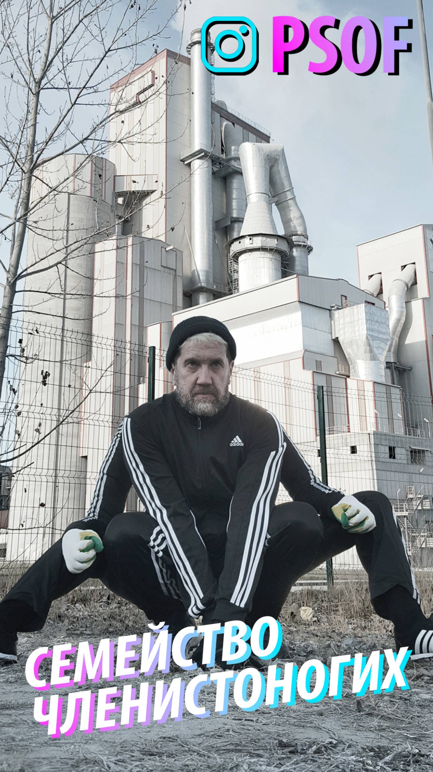 ДРУЖНАЯ СЕМЕЙКА