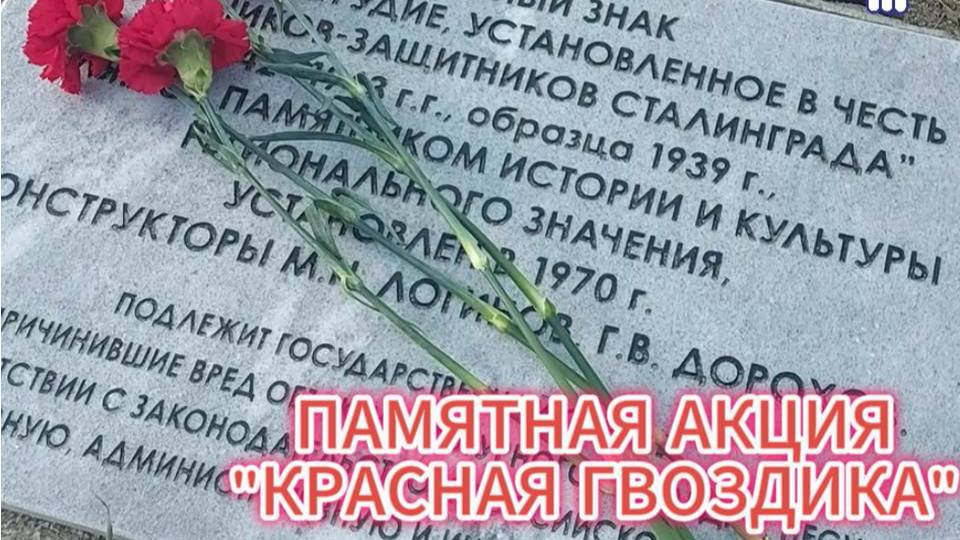 Красная гвоздика_зенитчицы