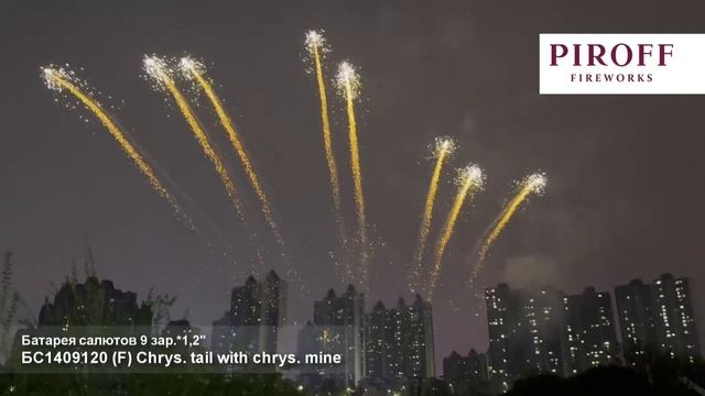 Ряд веерный - Chrys. tail with chrys. mine_1,2"х 9з