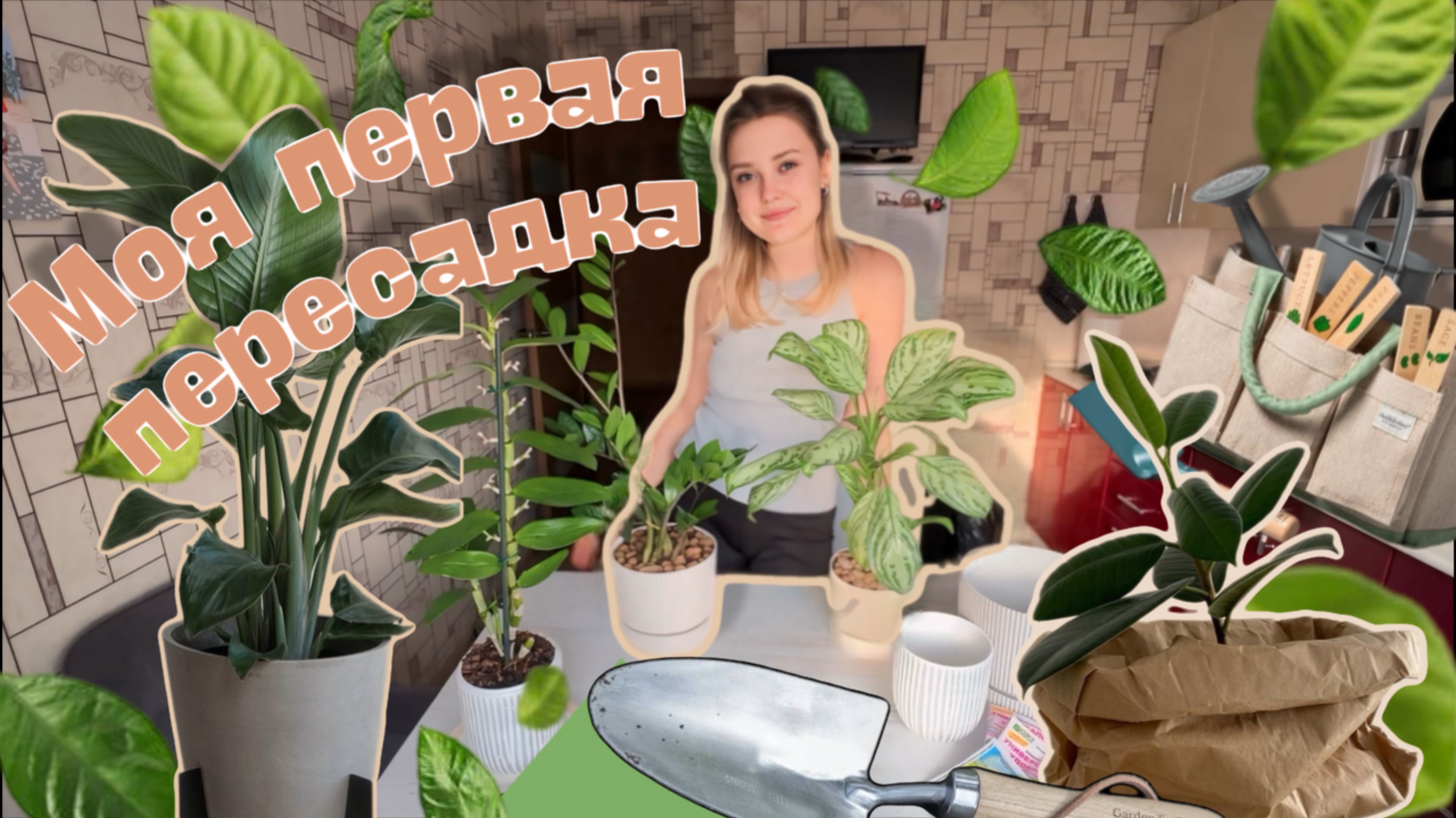 Мой ПЕРВЫЙ РАЗ: пересаживаю комнатные растения (всё пошло не по плану?)🪴😅💀