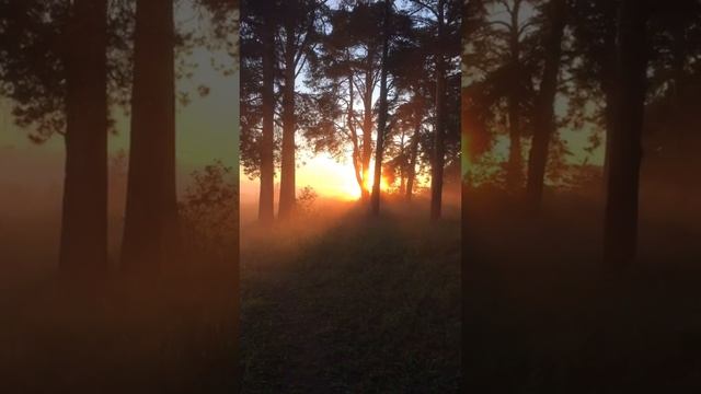 Природа, вода