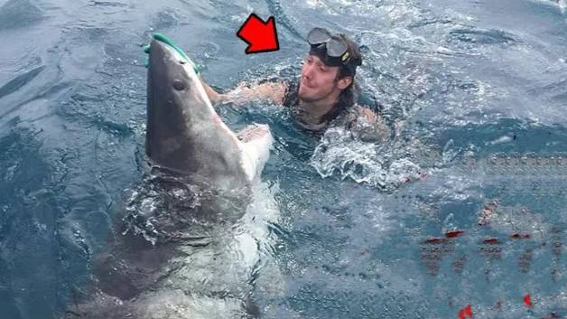Он Не Сразу Понял Что Акула Проглотила Его с ГОЛОВОЙ