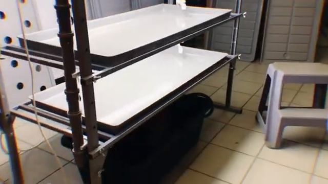 Шестиярусная ферма для выращивания сока "витграсс".