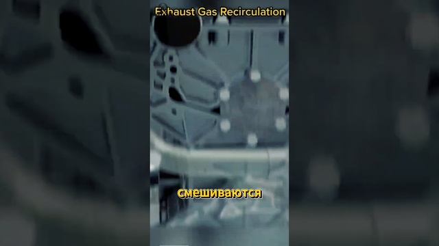 Mercedes Benz Sprinter и его система ЕГР