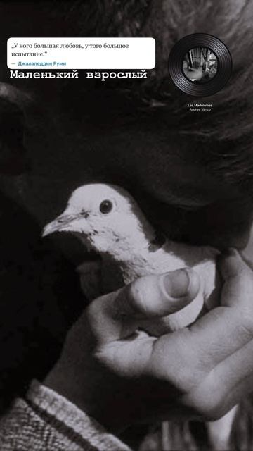 Маленький взрослый.mp4