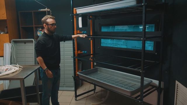 Микрозелень эксперименты. Посадка и выращивание. Часть первая.