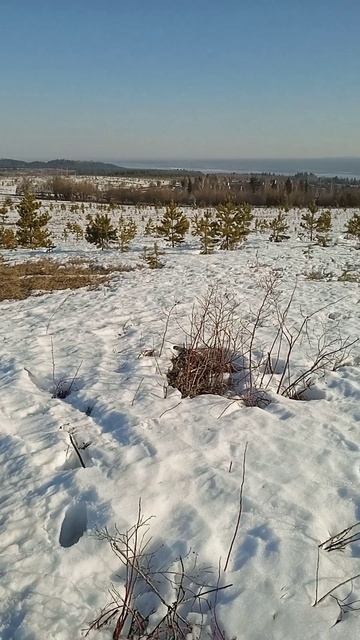 В дали от всех и всего ✨✨✨