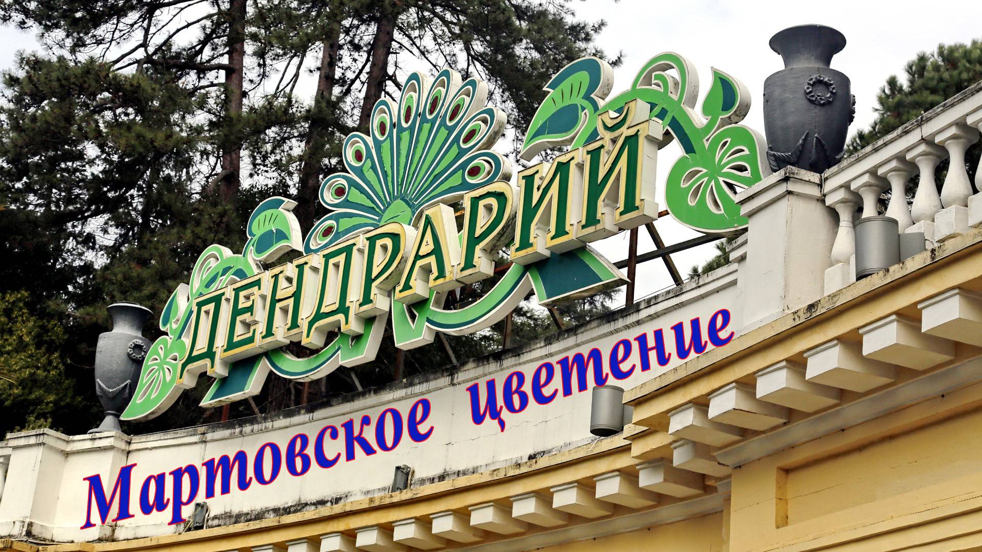 Дендрарий. Мартовское цветение