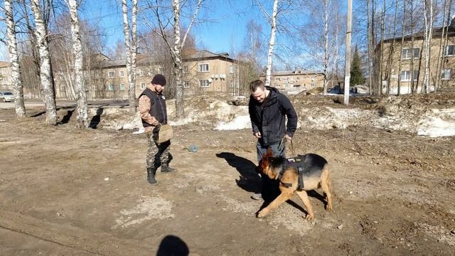 Защитный раздел (Рабочие моменты).