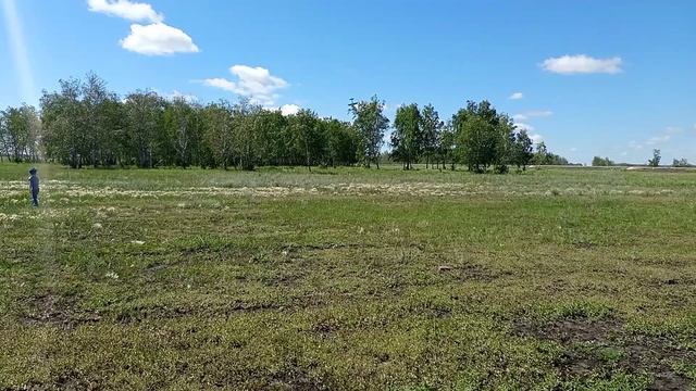 Играем с братом на природе