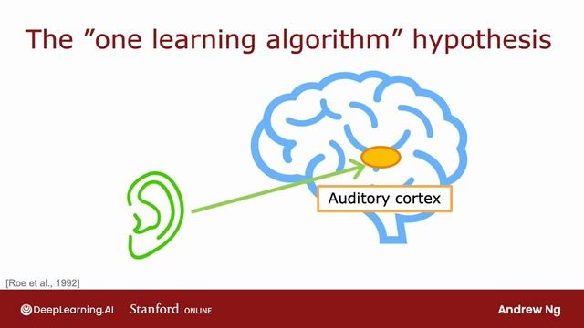13.[RUS ИИ Перевод] Is there a path to AGI — Есть ли путь к ИИ как у человека (AGI)?