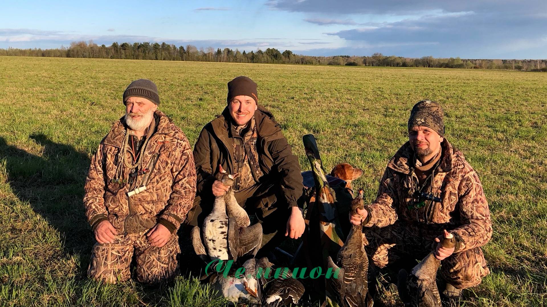 Охота на гуся с Кетнером #29 \ Вечер в полях