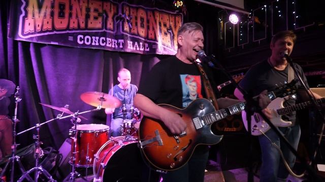 100 розовых болонок. БОТАНИКА