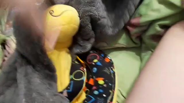 Игорь путешествие №10 пустыня сахара